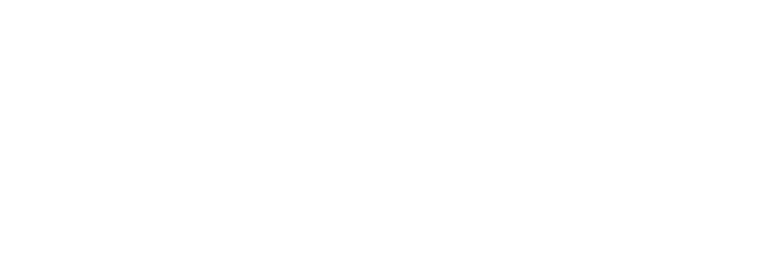 ASN Fleet – Alcatel Submarine Networks