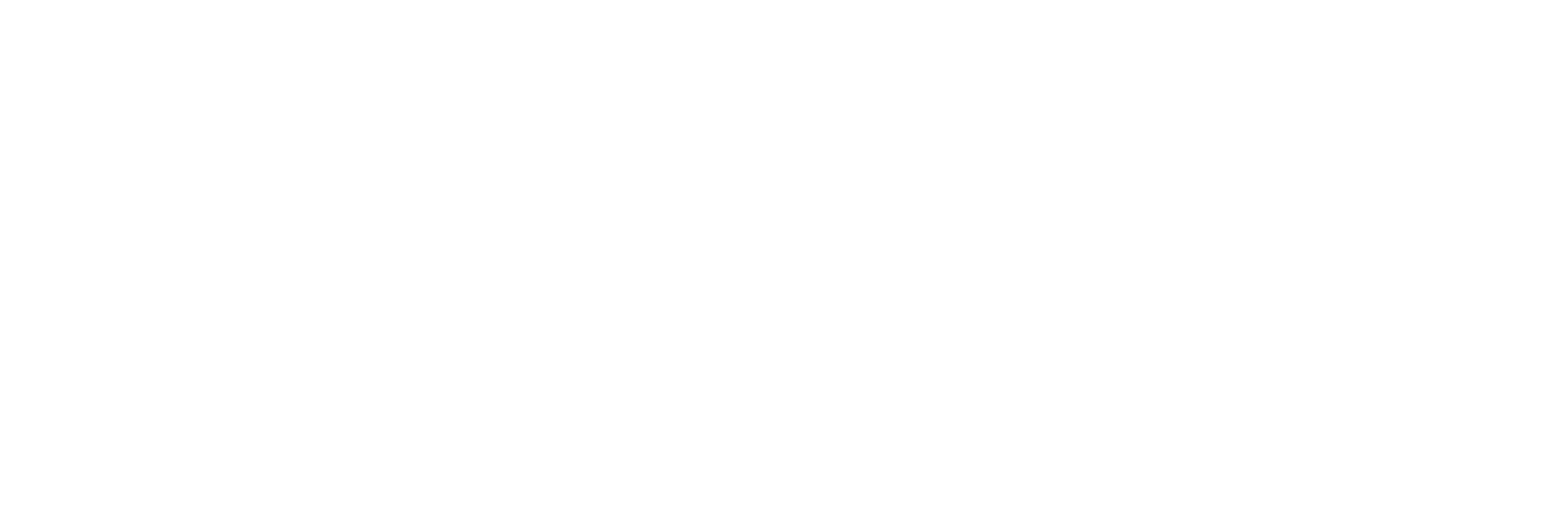 ASN Fleet – Alcatel Submarine Networks