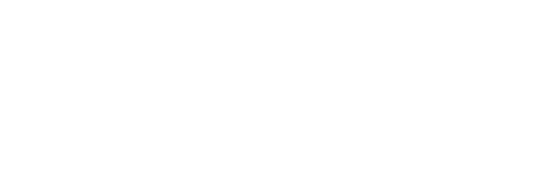 ASN Fleet – Alcatel Submarine Networks