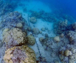 Alcatel Submarine Networks – We connect the world