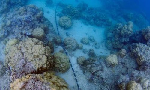 Fiber sensing (DAS) - Alcatel Submarine Networks